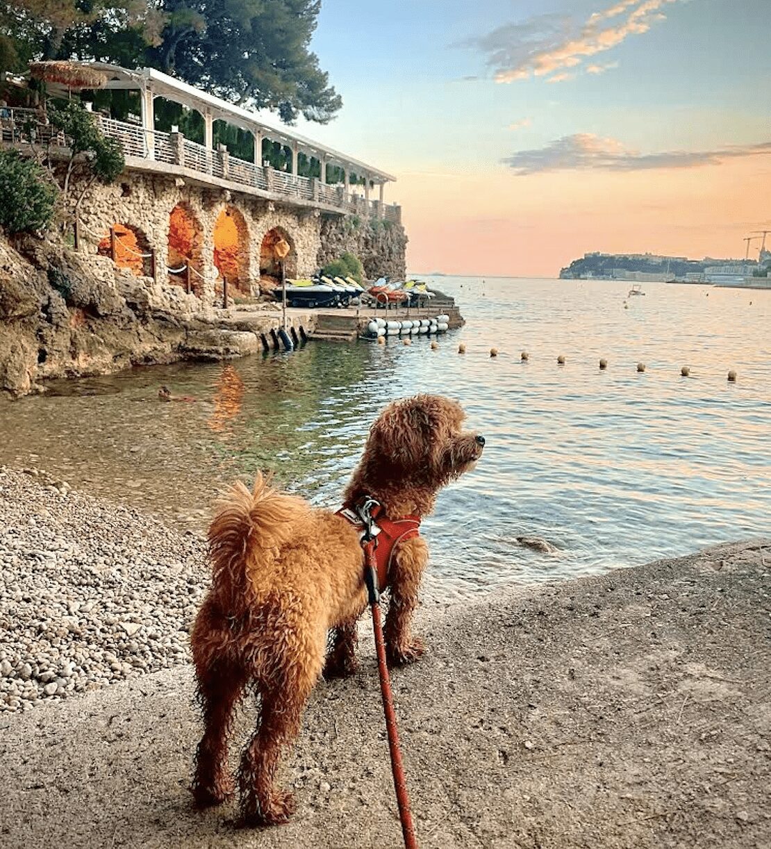 My Monaco Questionnaire with Siri Khalsa - NEWS.MC - Monaco News