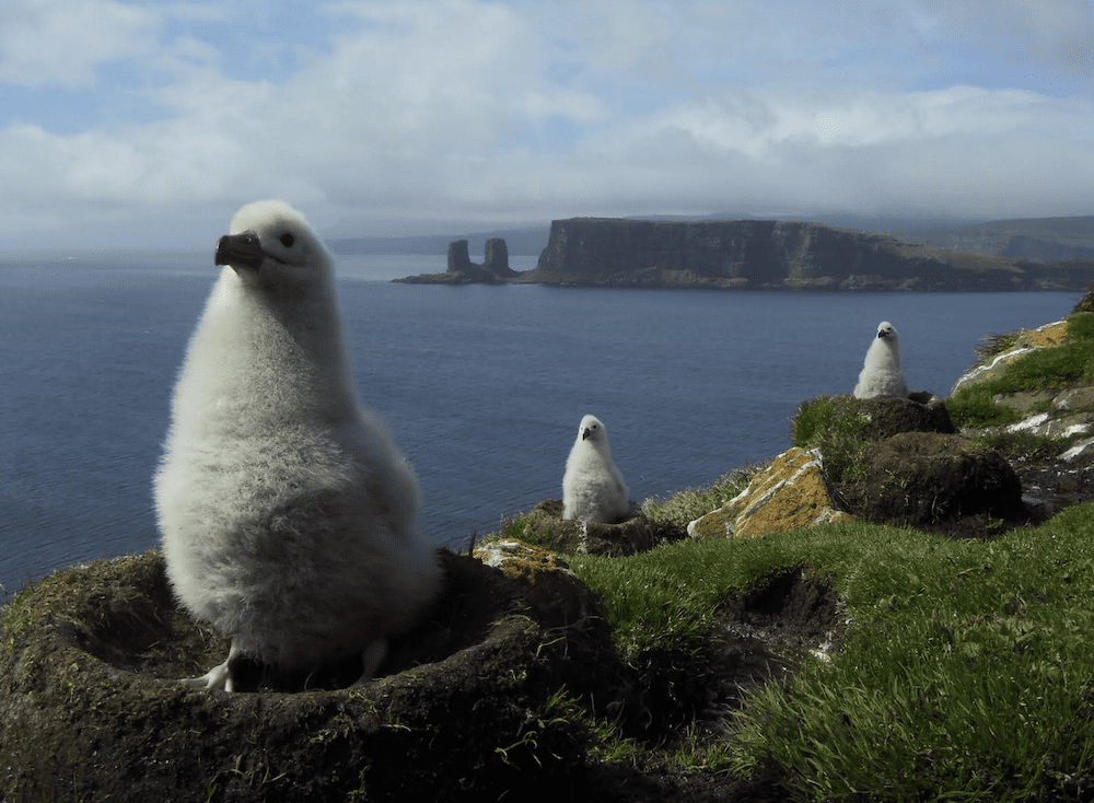 THIS WEEK IN MONACO - JULY 26 TO JULY 31 - NEWS.MC - Monaco News