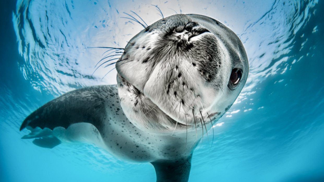 THIS WEEK IN MONACO - JANUARY 2 TO JANUARY 7 - NEWS.MC - Monaco News