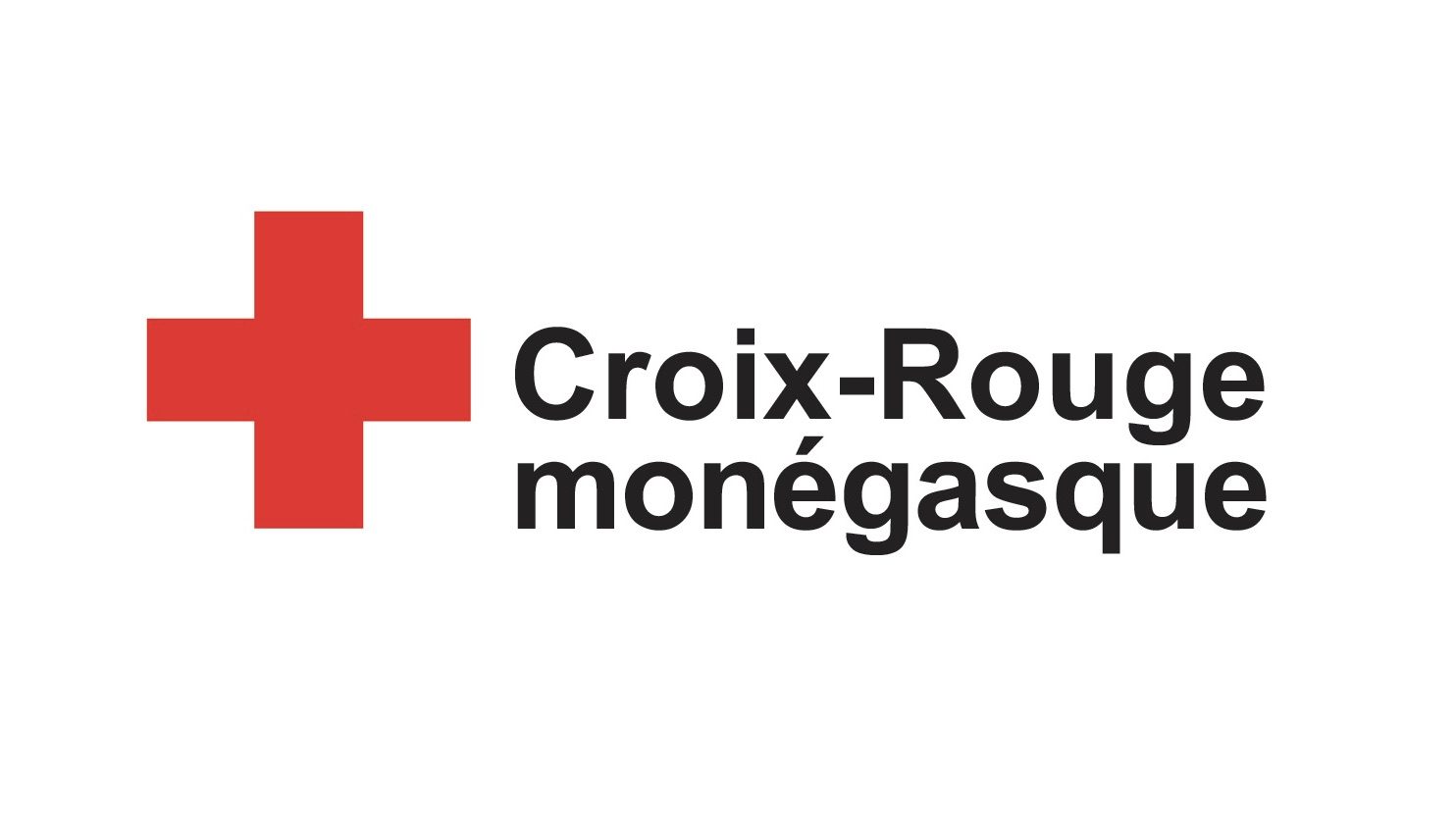 Prince Albert attends 34th International Red Cross Conference in Geneva ...