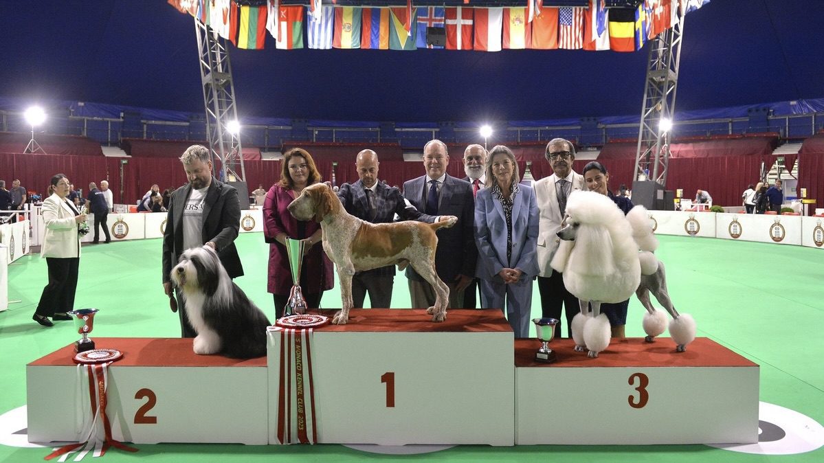 Monaco welcomes hundreds of dogs for international show at Fontvieille ...